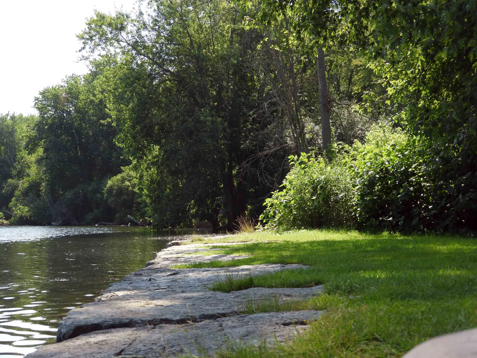Squirrel Creek Conservation Area | Otonabee Conservation