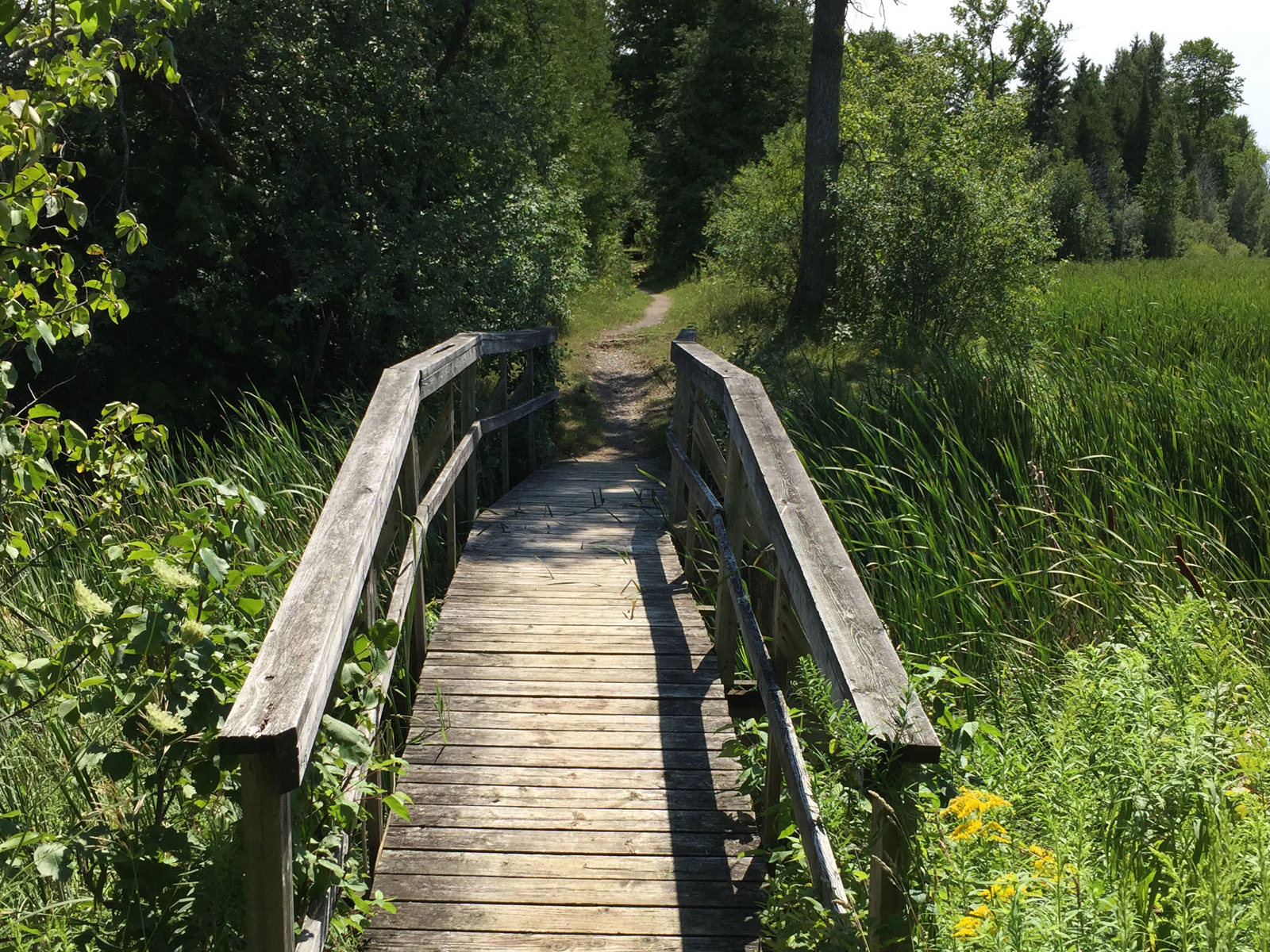 Visit a Conservation Area today!