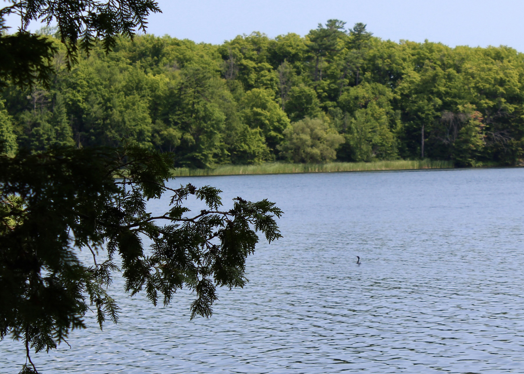 Visit a Conservation Area today!