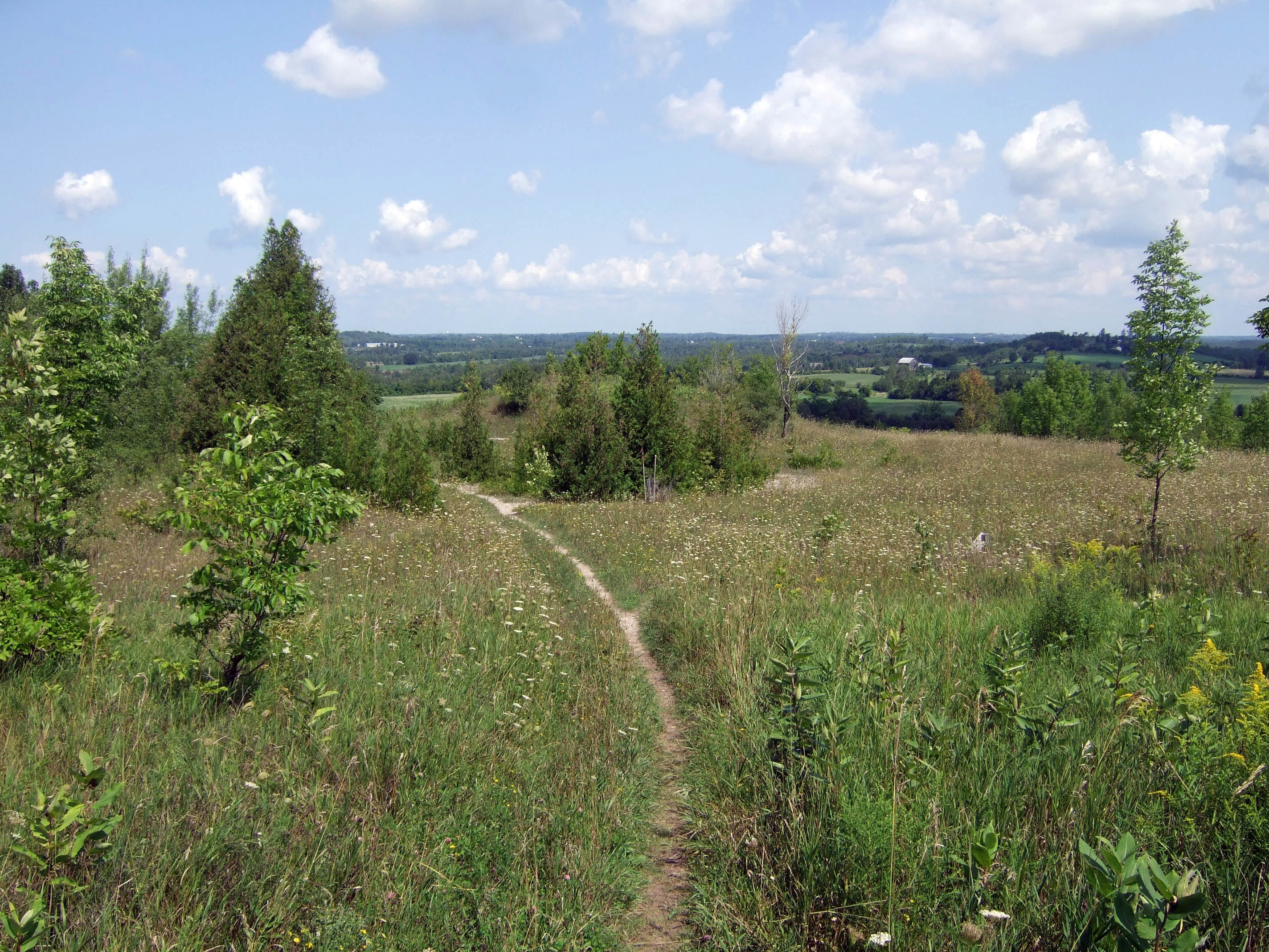 Harold Town Conservation Area | Otonabee Conservation