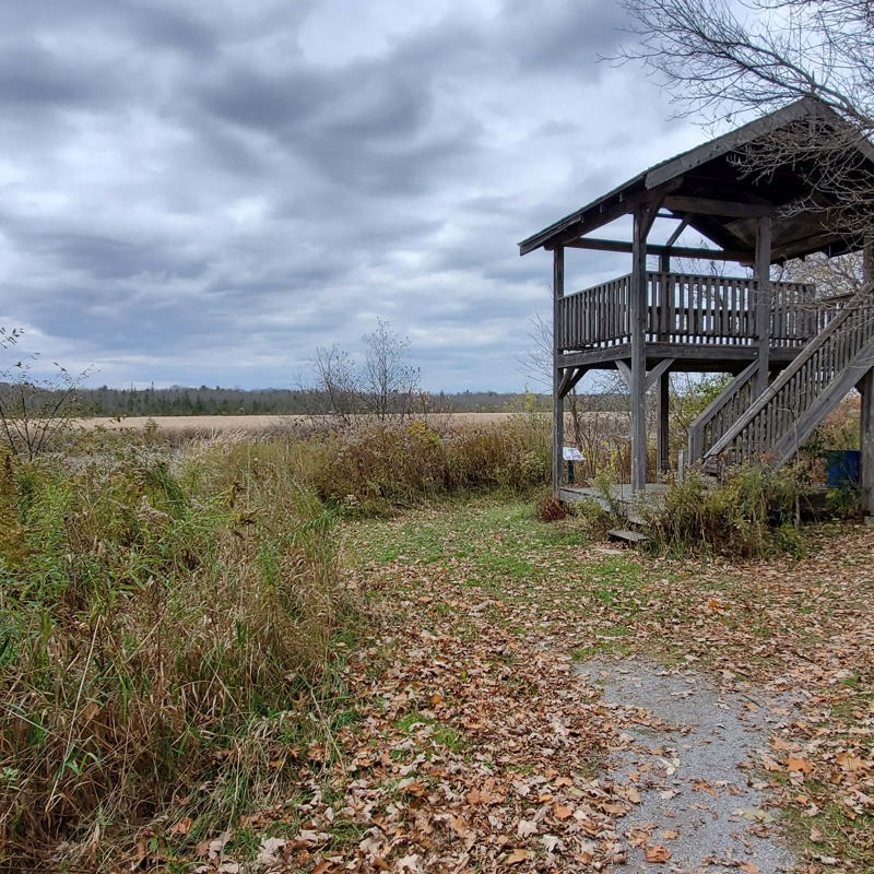 Geocaching | Otonabee Conservation