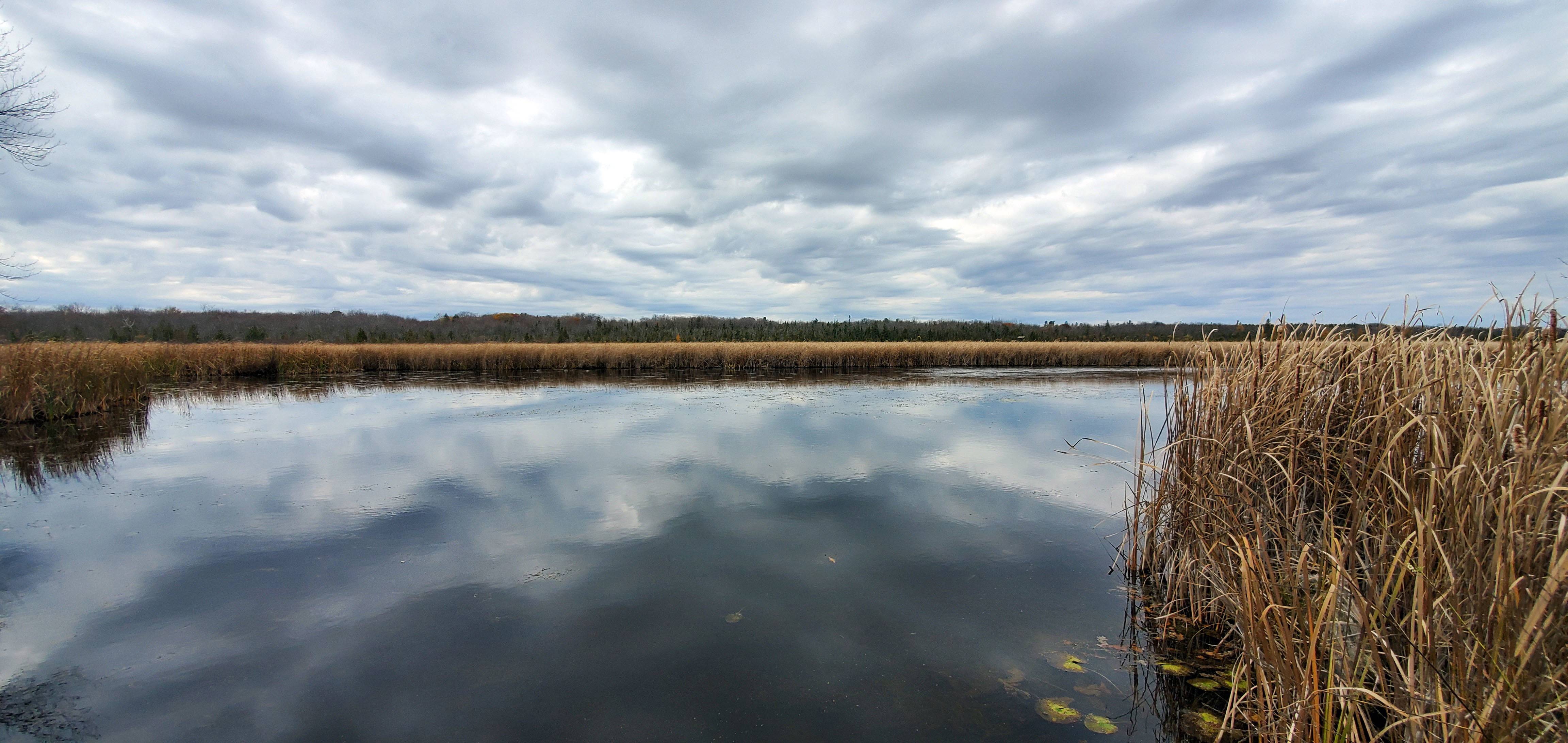 Visit a Conservation Area today!