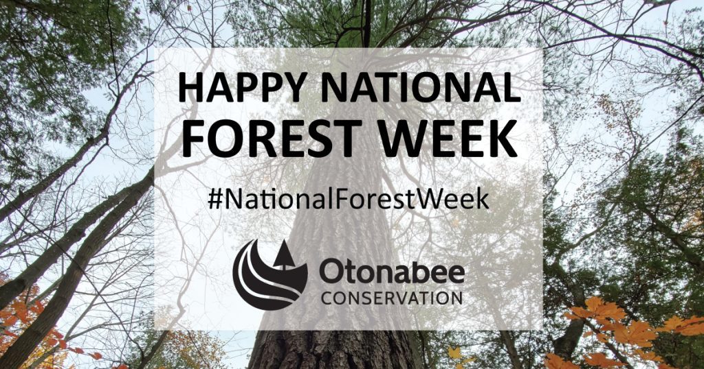 Celebrating National Forest Week | Sept. 17-23 | Otonabee Conservation