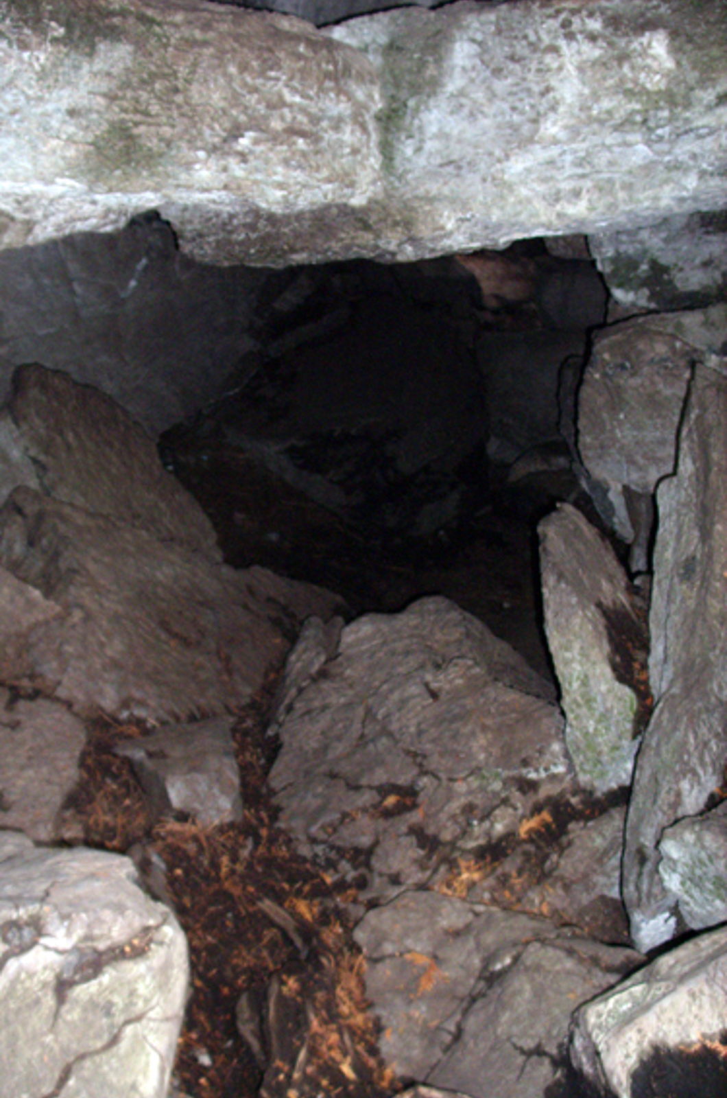 Caving and Spelunking | Otonabee Conservation