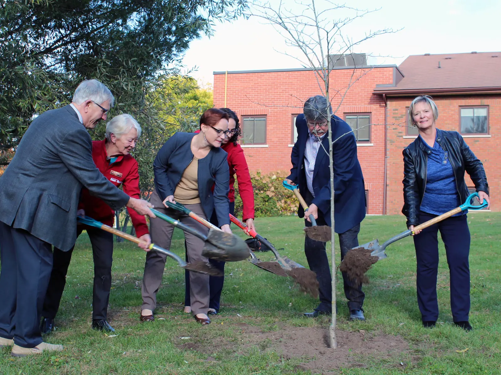 Plant trees with Otonabee Conservation's Tree Seedling Sale