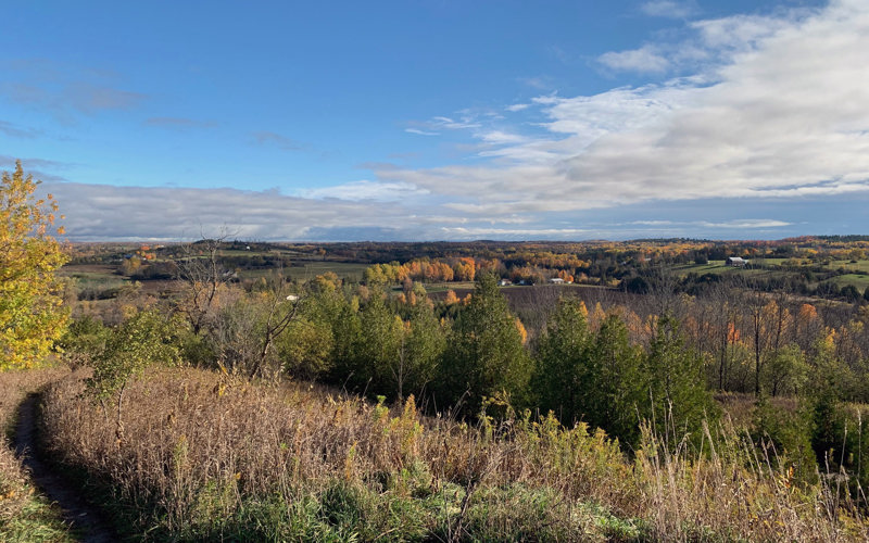Otonabee Conservation