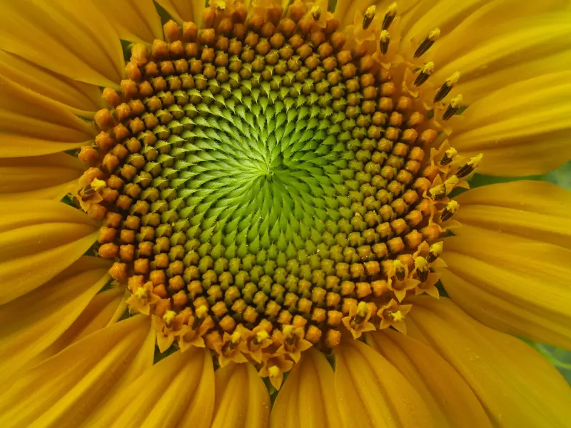 Roberta Bondar Challenge | Otonabee Conservation