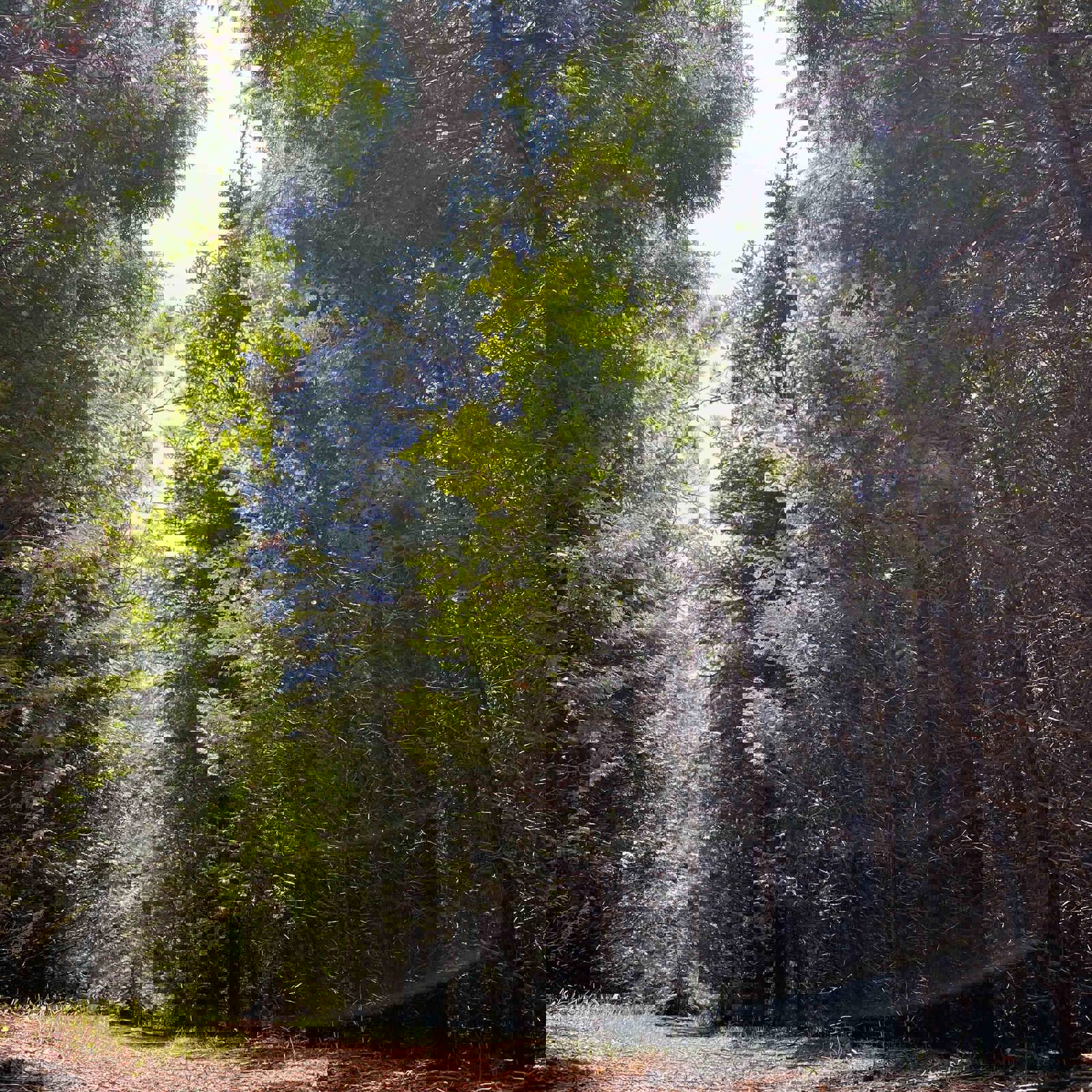 Hiking | Otonabee Conservation