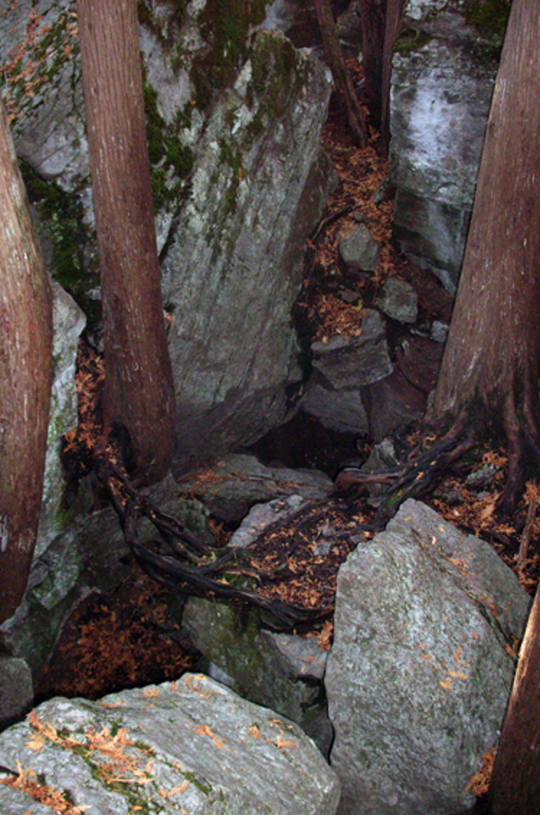 Caving and Spelunking | Otonabee Conservation