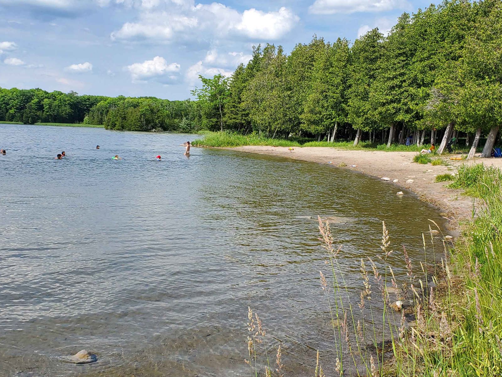 Selwyn Beach Conservation Area | Otonabee Conservation