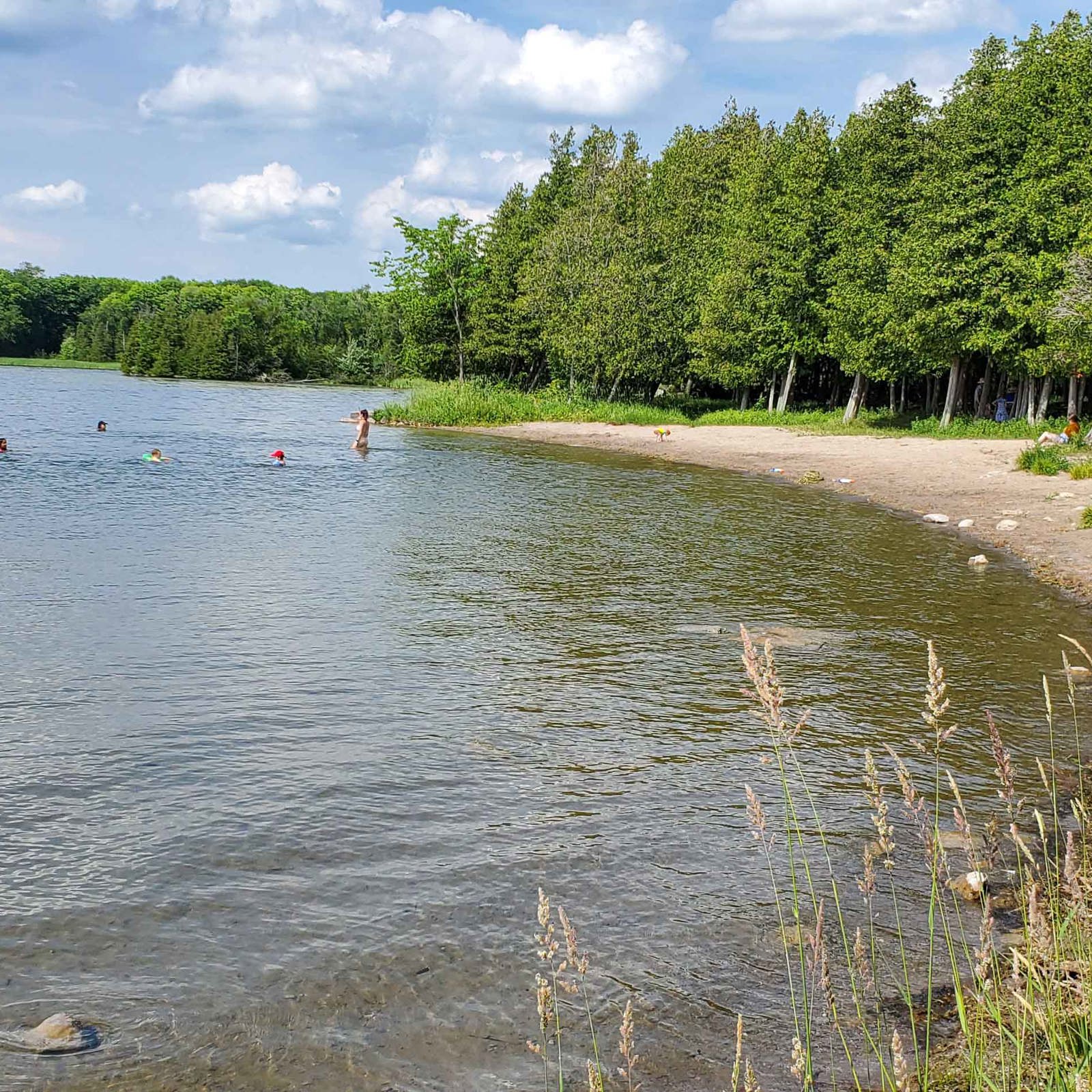 Swimming and Beaches | Otonabee Conservation