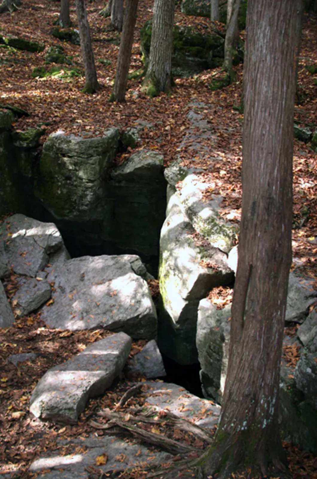Caving and Spelunking | Otonabee Conservation