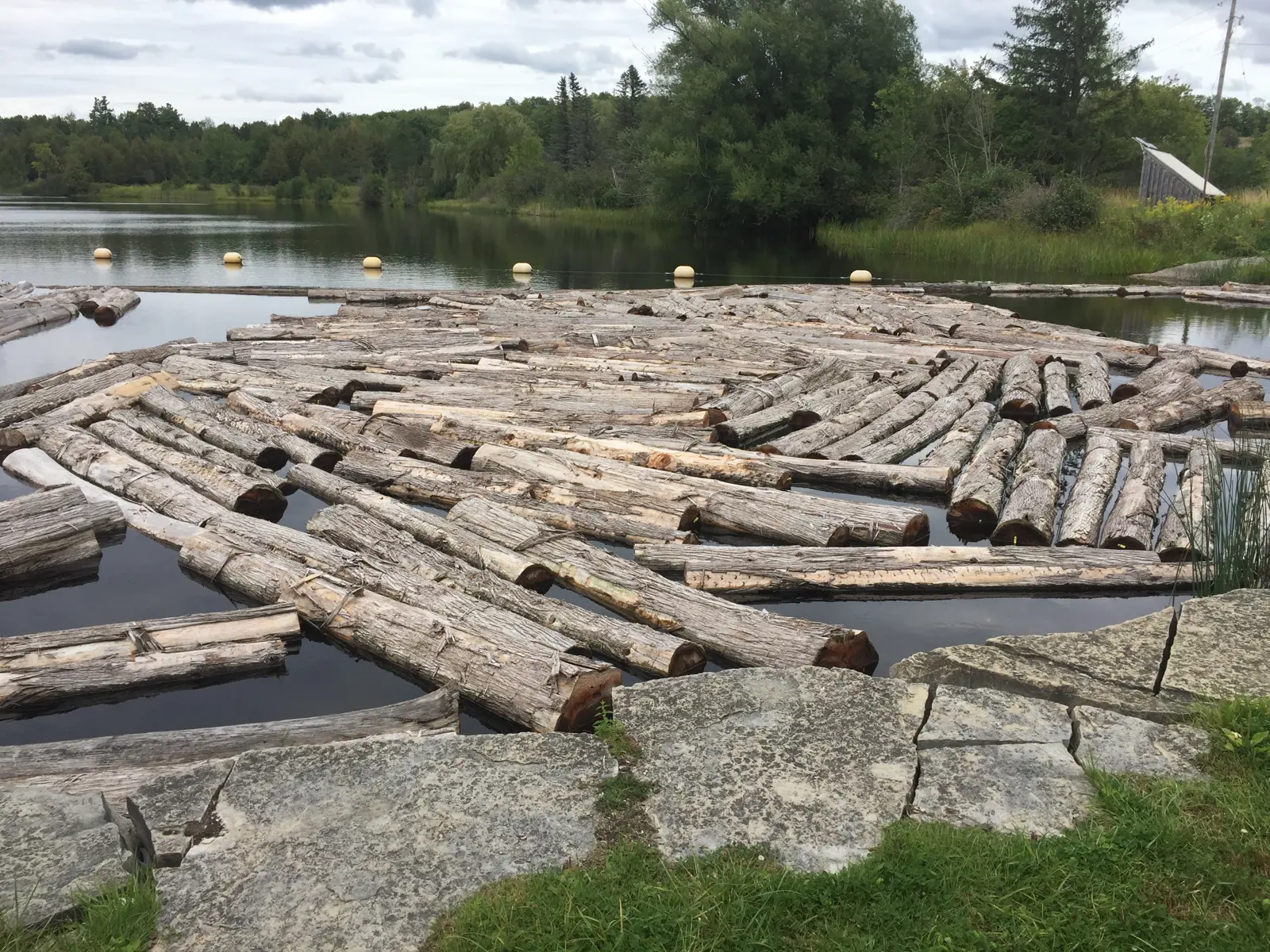 Hope Mill Conservation Area | Otonabee Conservation