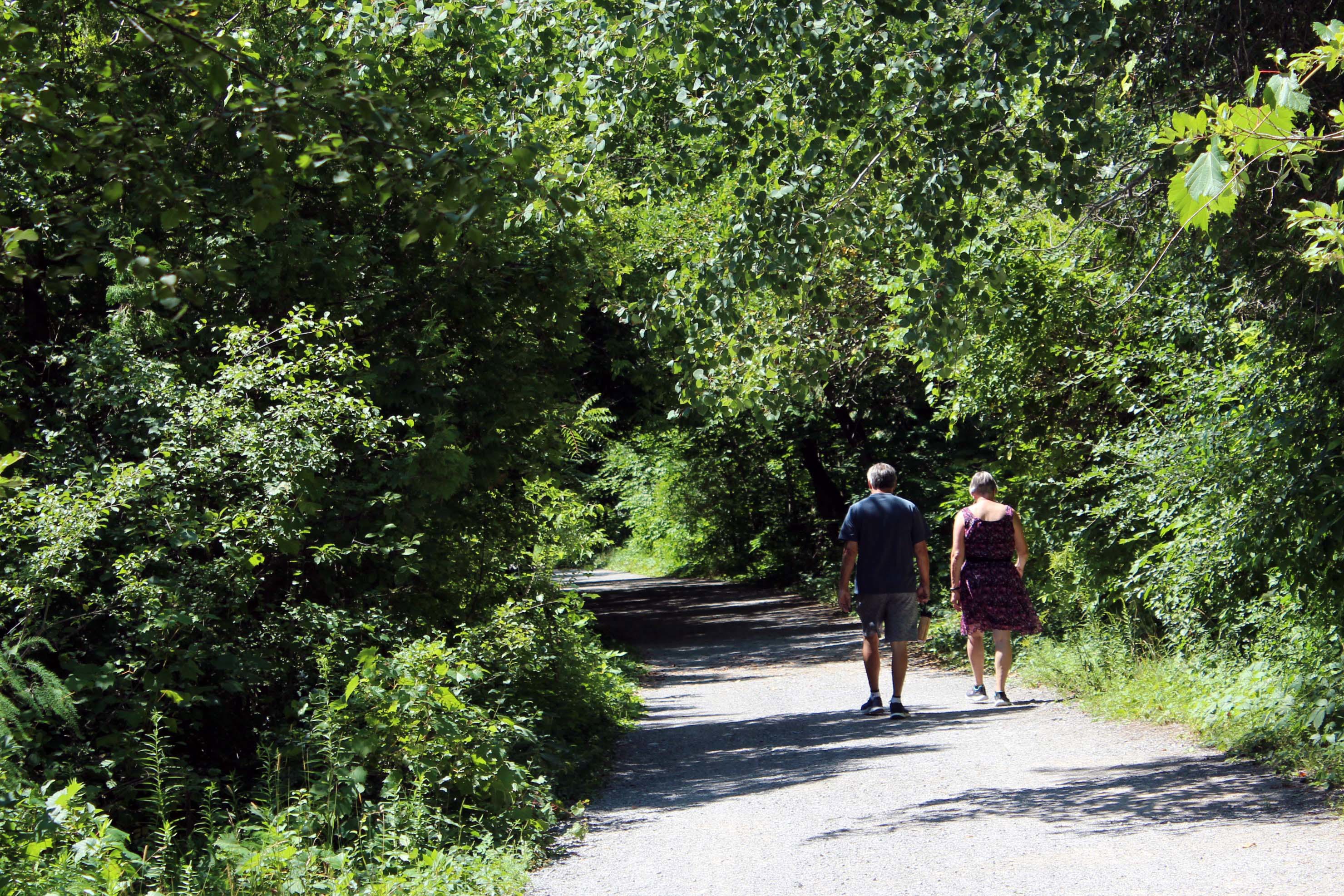 Jackson Creek Trail | Otonabee Conservation