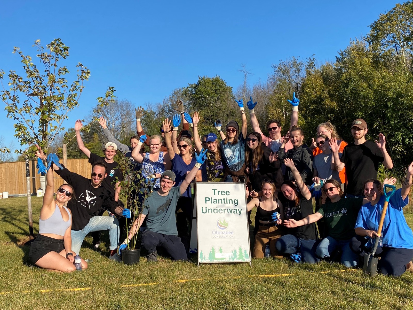 Plant trees with Otonabee Conservation's Tree Seedling Sale