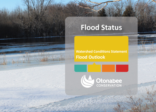 Watershed Conditions Statement - Water Safety